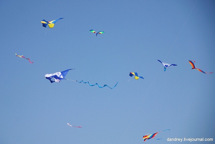 Japanese Kite Festival in Haifa | Amusing Planet
